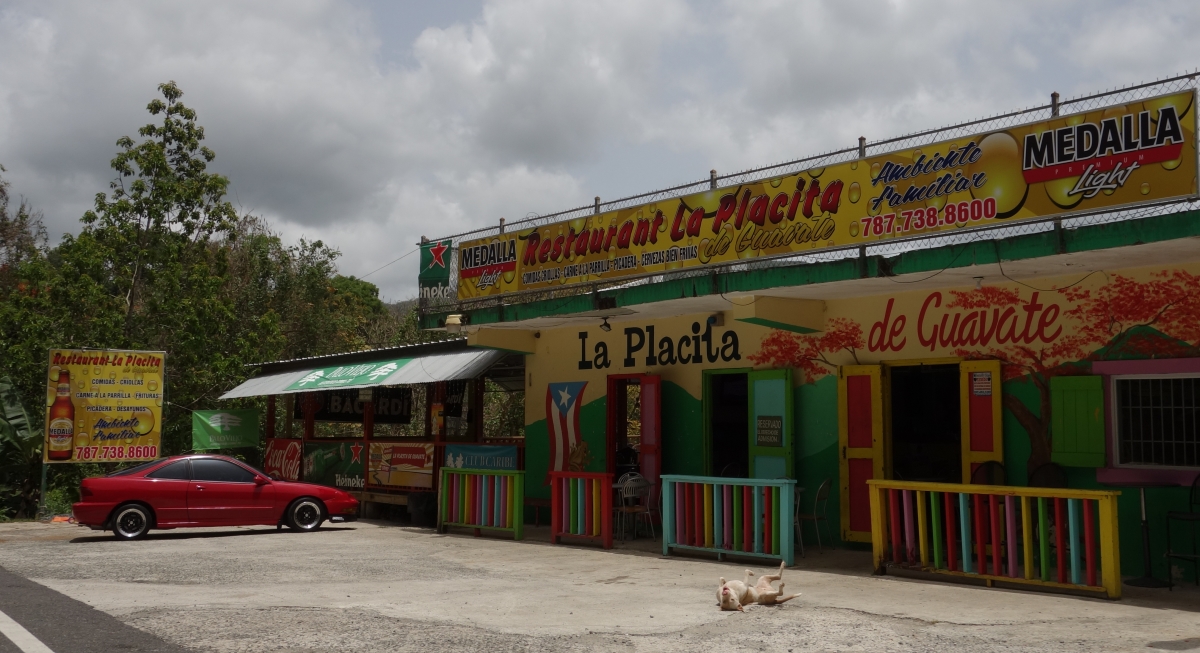 Lechoneras in Guavate, Puerto Rico – Social Vixen