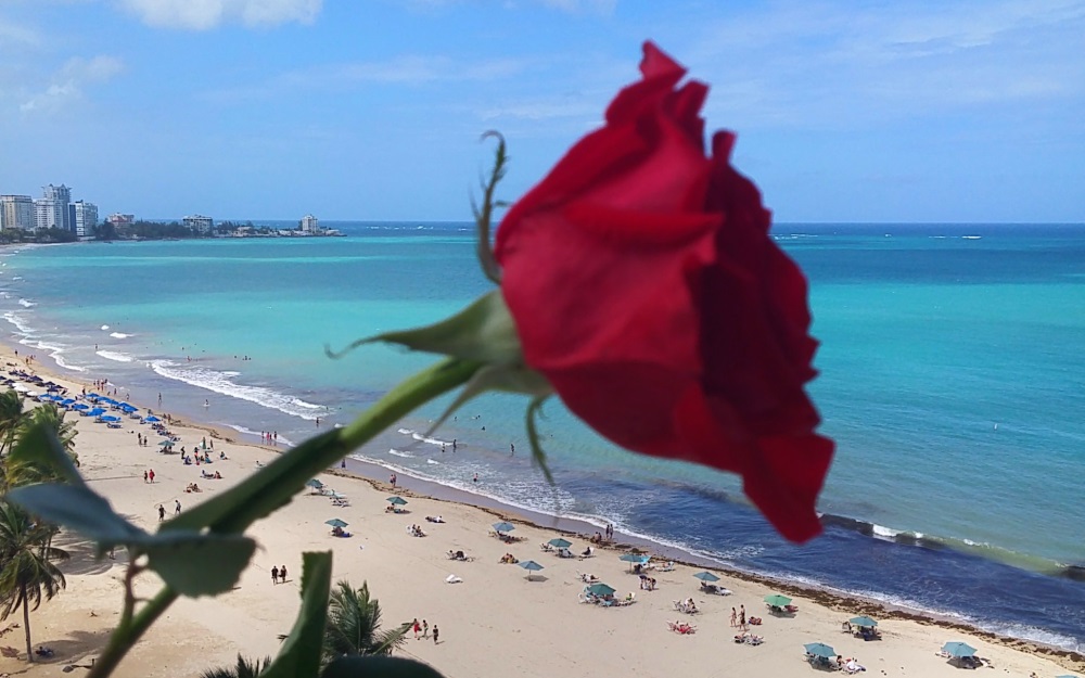 Valentine’s Day 2016 – Social Vixen