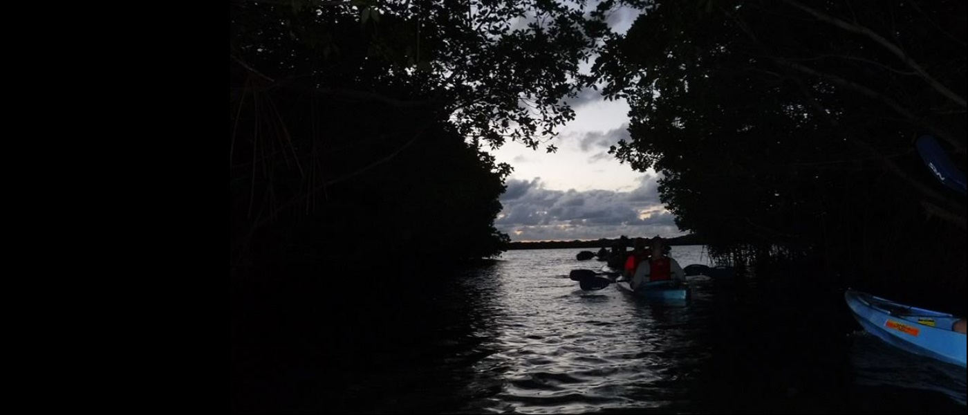 Night Kayaking in Fajardo, Puerto Rico – Social Vixen
