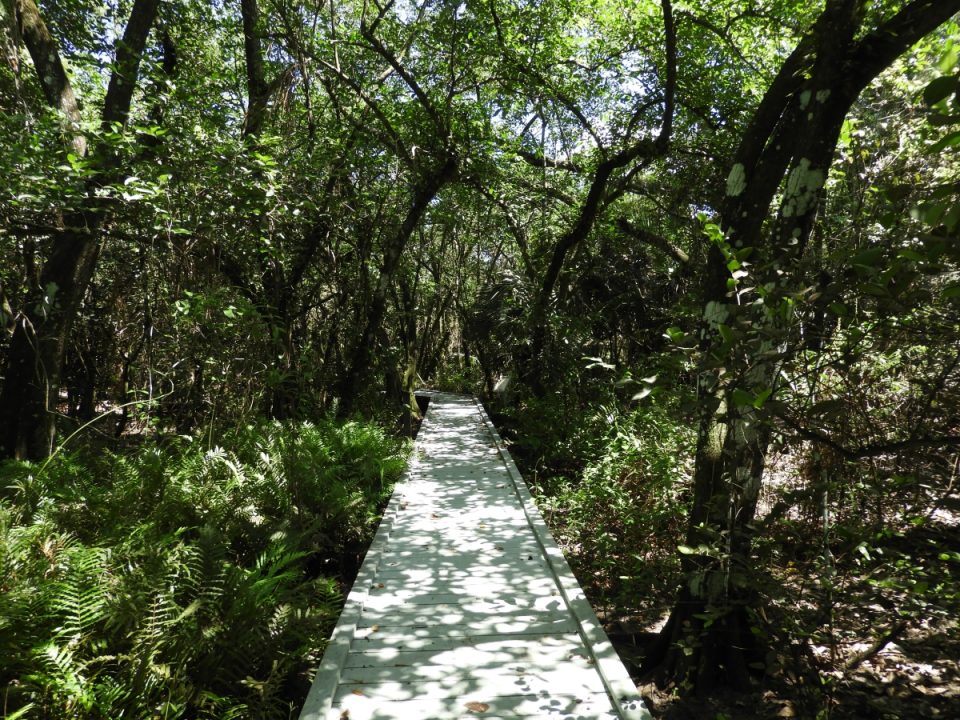 Secret Woods Nature Sanctuary – Social Vixen